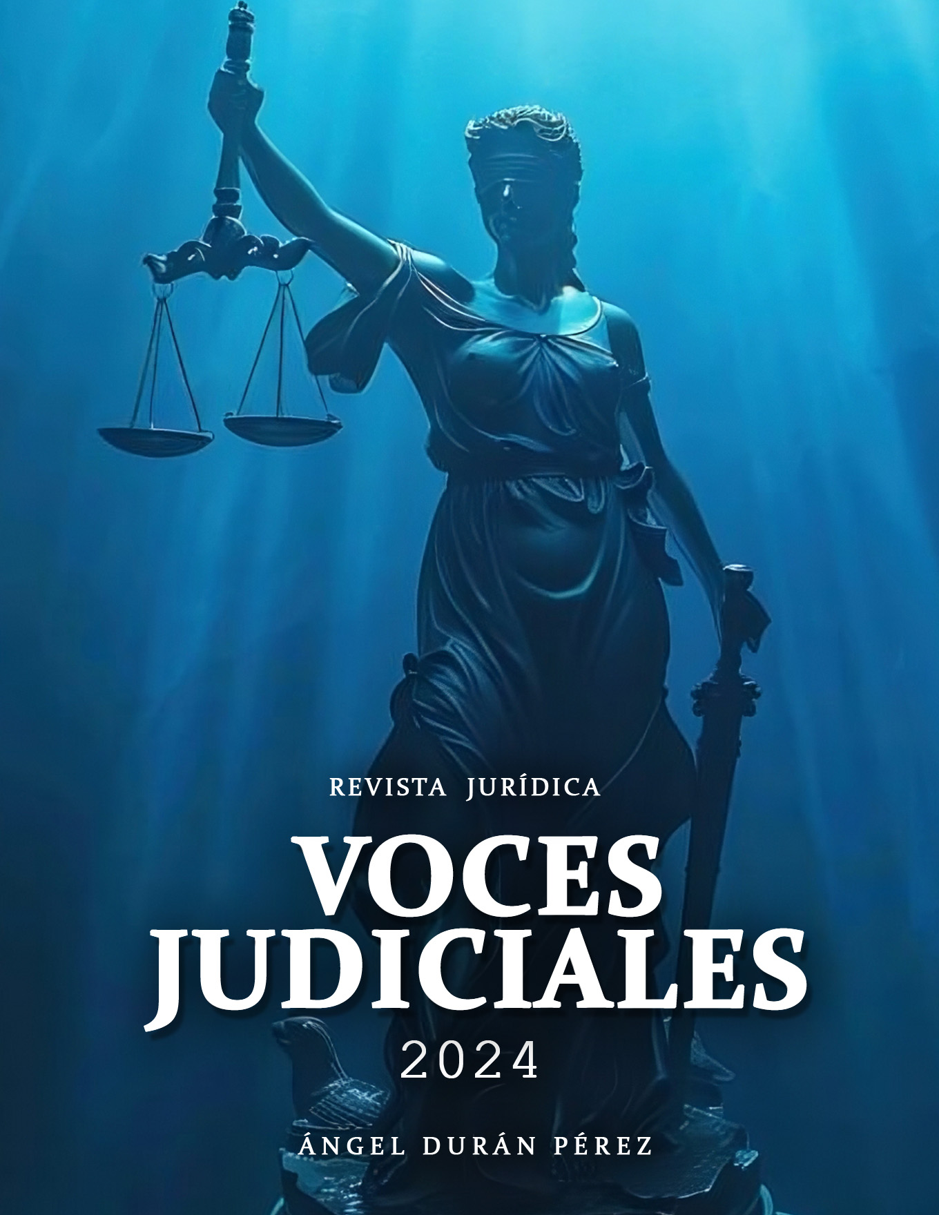 Voces Judiciales 2024 - Angel Durán